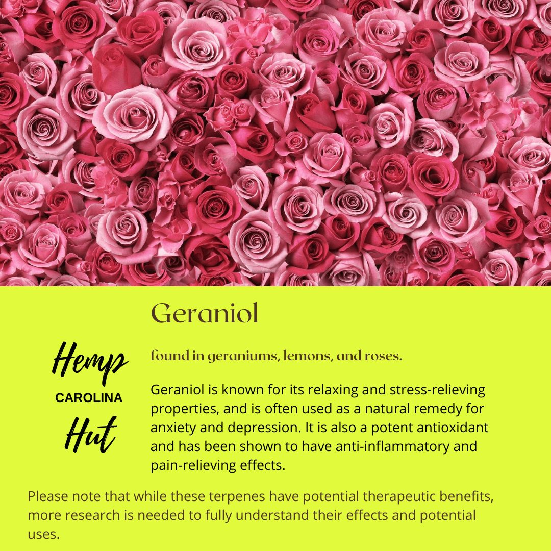 What are Terpenes? ⋆ Carolina Hemp Hut